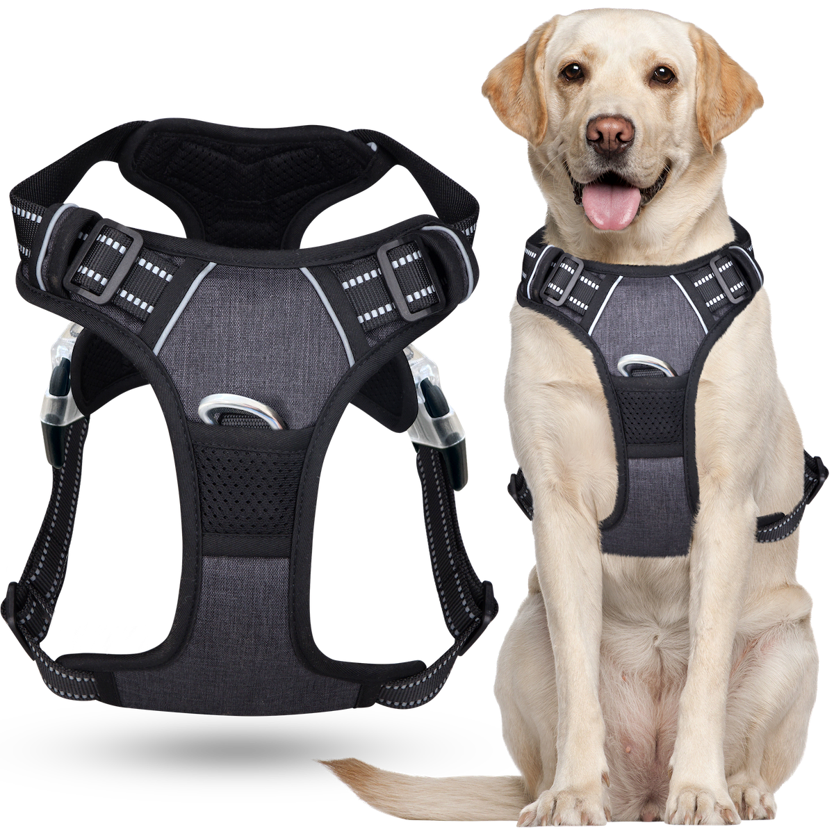No Pull Dog Harness For Medium Dogs (45-70lbs) - Best Dog Harness For Pulling & Control – PawSafe