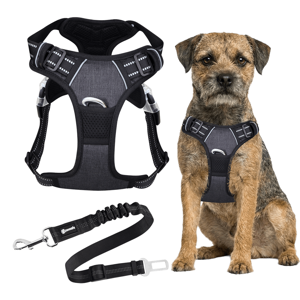 PawSafe® No Pull Dog Harness - No Choke and Prevents Pulling