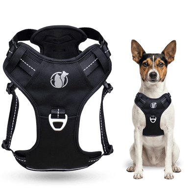 Dog Harness With Handle – PawSafe