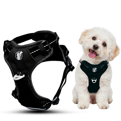 Dog Harness With Handle – PawSafe