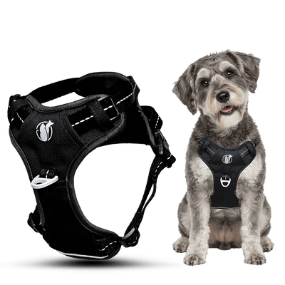 Dog Harness With Handle – PawSafe