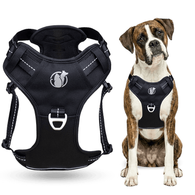 Dog Harness With Handle – PawSafe