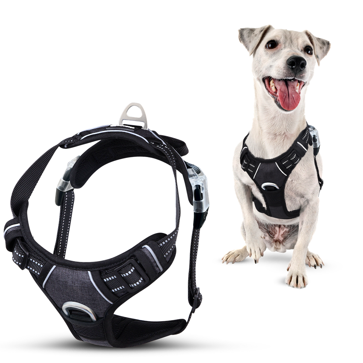 No Pull Dog Harness For Small Dogs (18-28lbs) - Best Dog Harness For ...