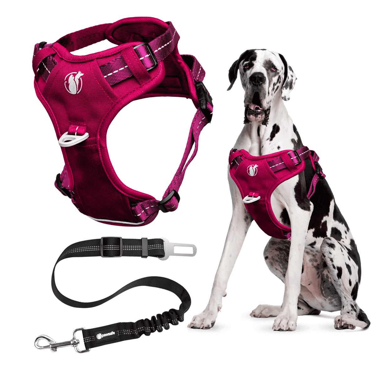 Steady+Style No Pull Harness + Seatbelt Bundle – PawSafe