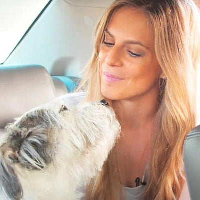 PawSafe - For pets and the people who love them