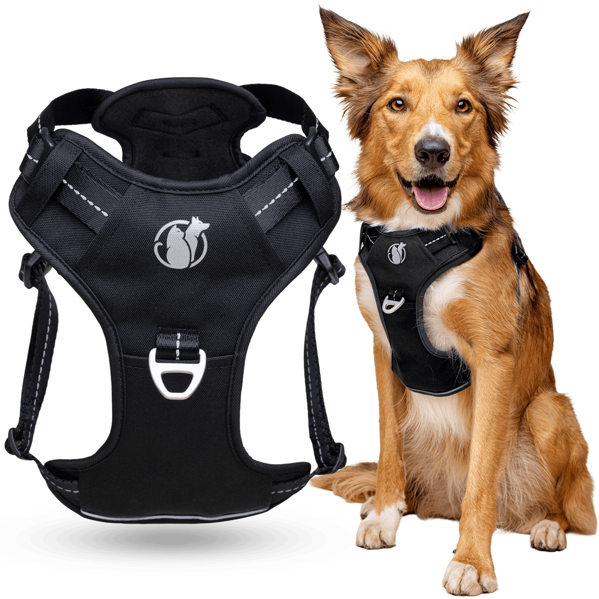 Steady+Style No Pull Harness – PawSafe