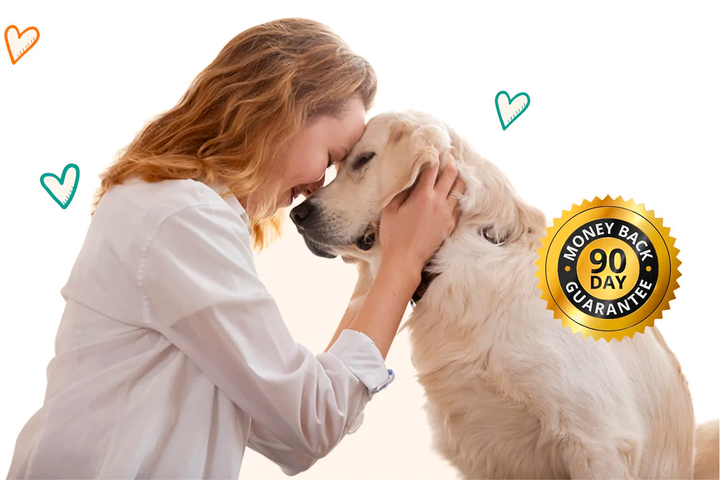 PawSafe® No Pull Dog Harness - No Choke Chest Harness Prevents Dog From ...